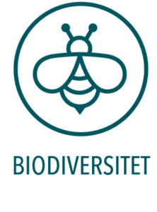 Dangrow - Vores jord — din køkkenhave